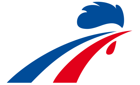 French National Team | International Hockey Wiki | Fandom