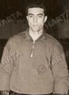 Tony Prete | International Hockey Wiki | Fandom