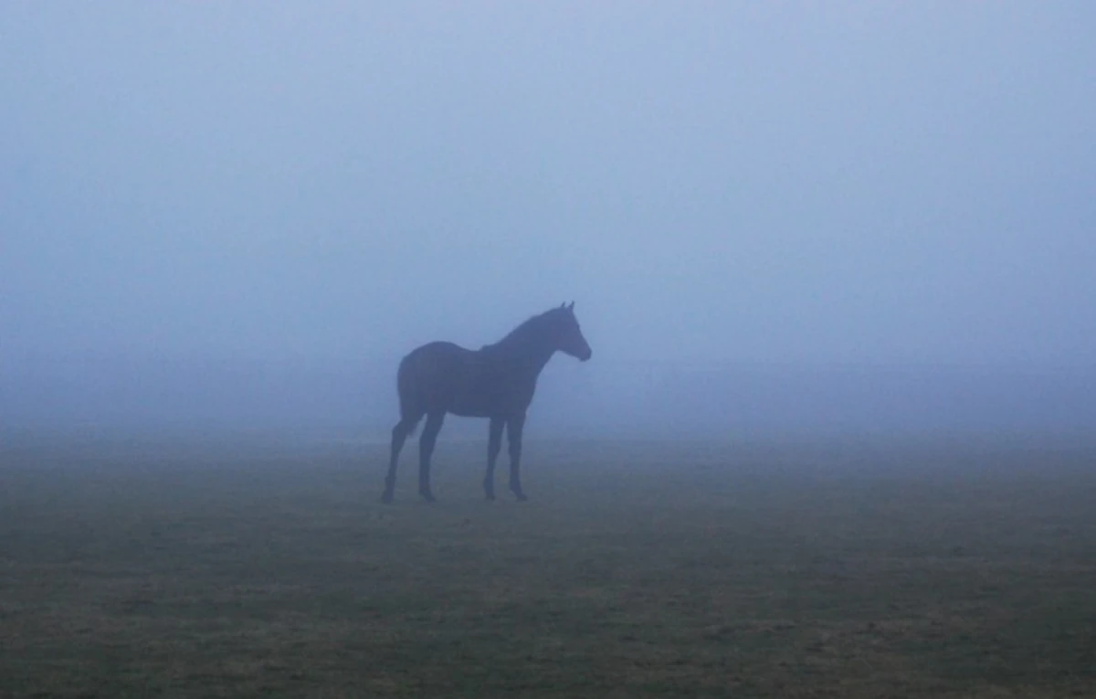 Entity 23 | InTheBackrooms Wiki | Fandom