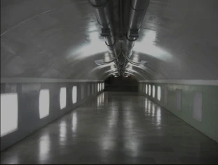 Level 15 | InTheBackrooms Wiki | Fandom