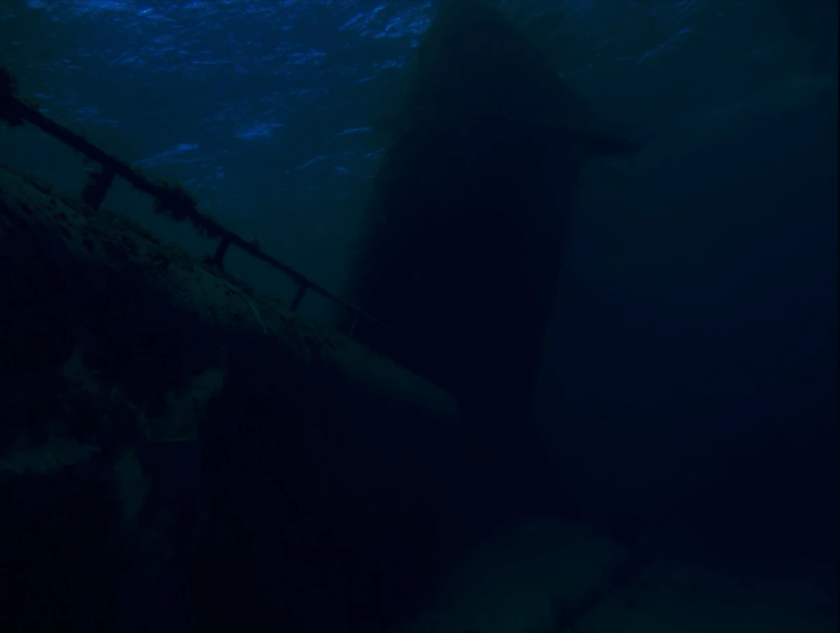 Level 83 | InTheBackrooms Wiki | Fandom