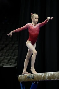 Gallery:Lilly Lippeatt | Gymnastics Wiki | Fandom