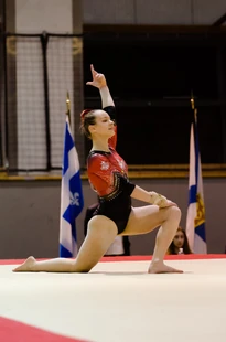 Gallery:Shallon Olsen | Gymnastics Wiki | Fandom