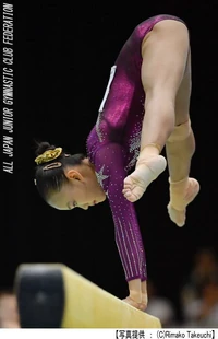 Gallery:Chen Yile | Gymnastics Wiki | Fandom