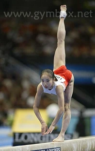 Gallery:Fan Ye | Gymnastics Wiki | Fandom