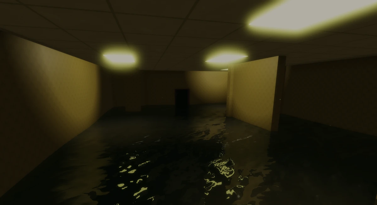 Level 0.8 - "Inundation" | Into The backrooms Wiki | Fandom
