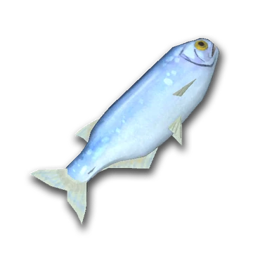 how to cook goldeye fish