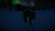 Cougar | The Long Dark Wiki | Fandom