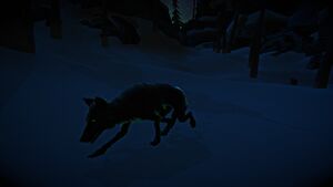 Poisoned Wolf | The Long Dark Wiki | Fandom