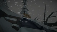 Cougar | The Long Dark Wiki | Fandom