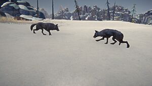Poisoned Wolf | The Long Dark Wiki | Fandom