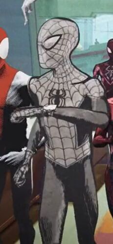 Peter Parker | Into The Spider-verse Wiki | Fandom