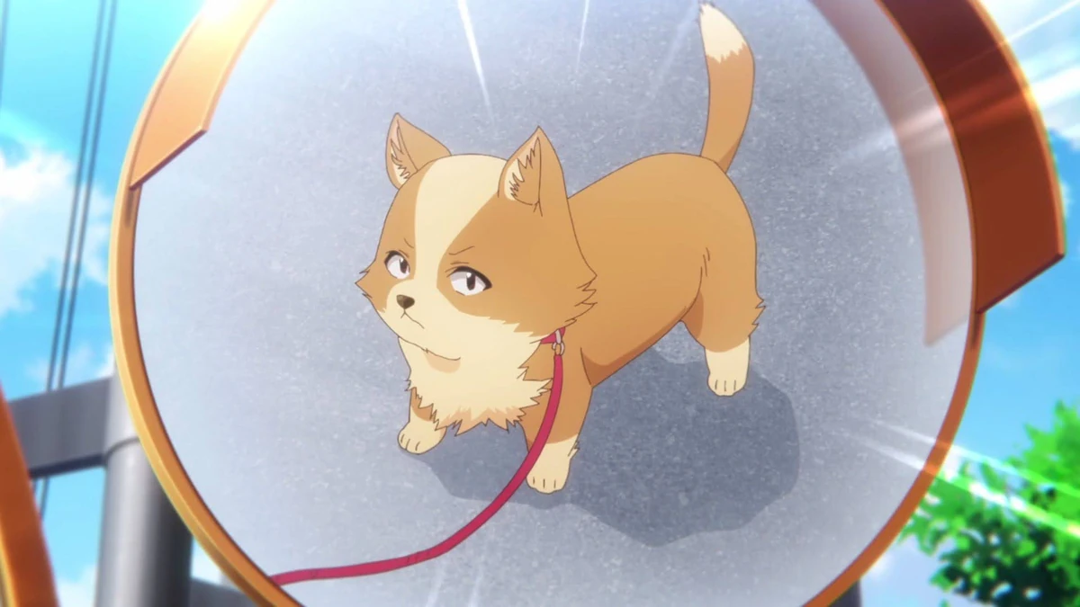 Pochita | Inuhiro Wiki | Fandom