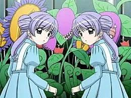 Imari & Sayoka | Inukami Series Wiki | Fandom