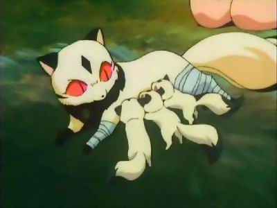 Kuroro's kittens | InuYasha | Fandom