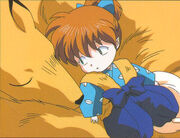 Shippo | InuYasha Wiki | Fandom