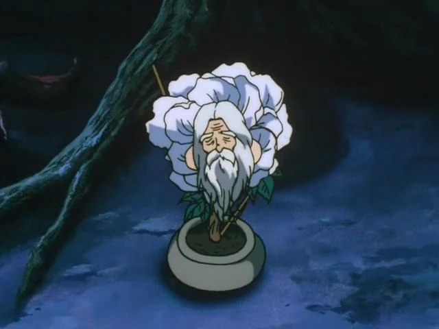 Maestro de Tokajin | InuYasha Wiki | Fandom