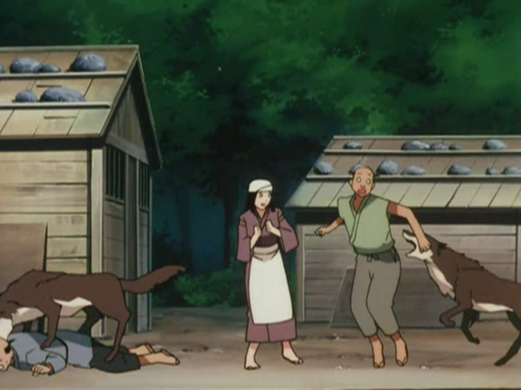 Rin's village | InuYasha | Fandom