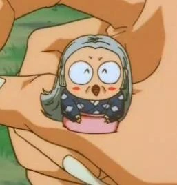 Shoga | InuYasha Wiki | Fandom