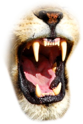 La Boca de Leon | Oliver El Reindeer Wiki | Fandom