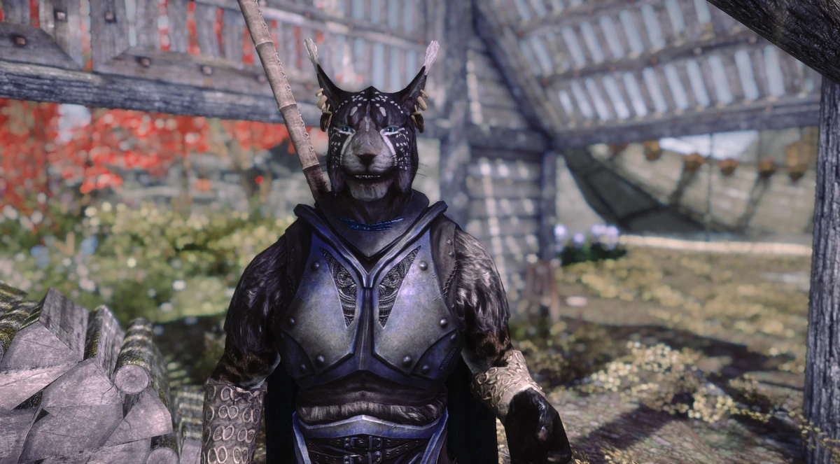 Dro'Sindir | Invasion of Skyrim Wikia | Fandom