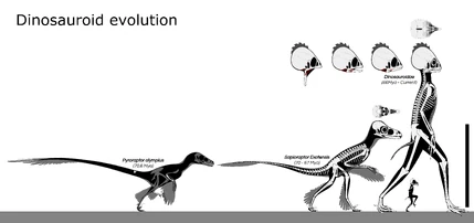 Dinosaruroids | Inverted earth theory Wiki | Fandom