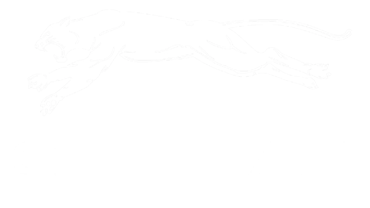 DKJT Motorsport | ION Racing League Wiki | Fandom