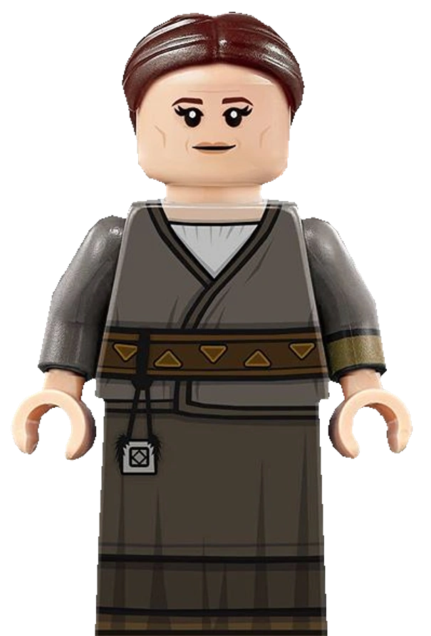 Shmi Skywalker (100-2) | Ipdkverse Wiki | Fandom