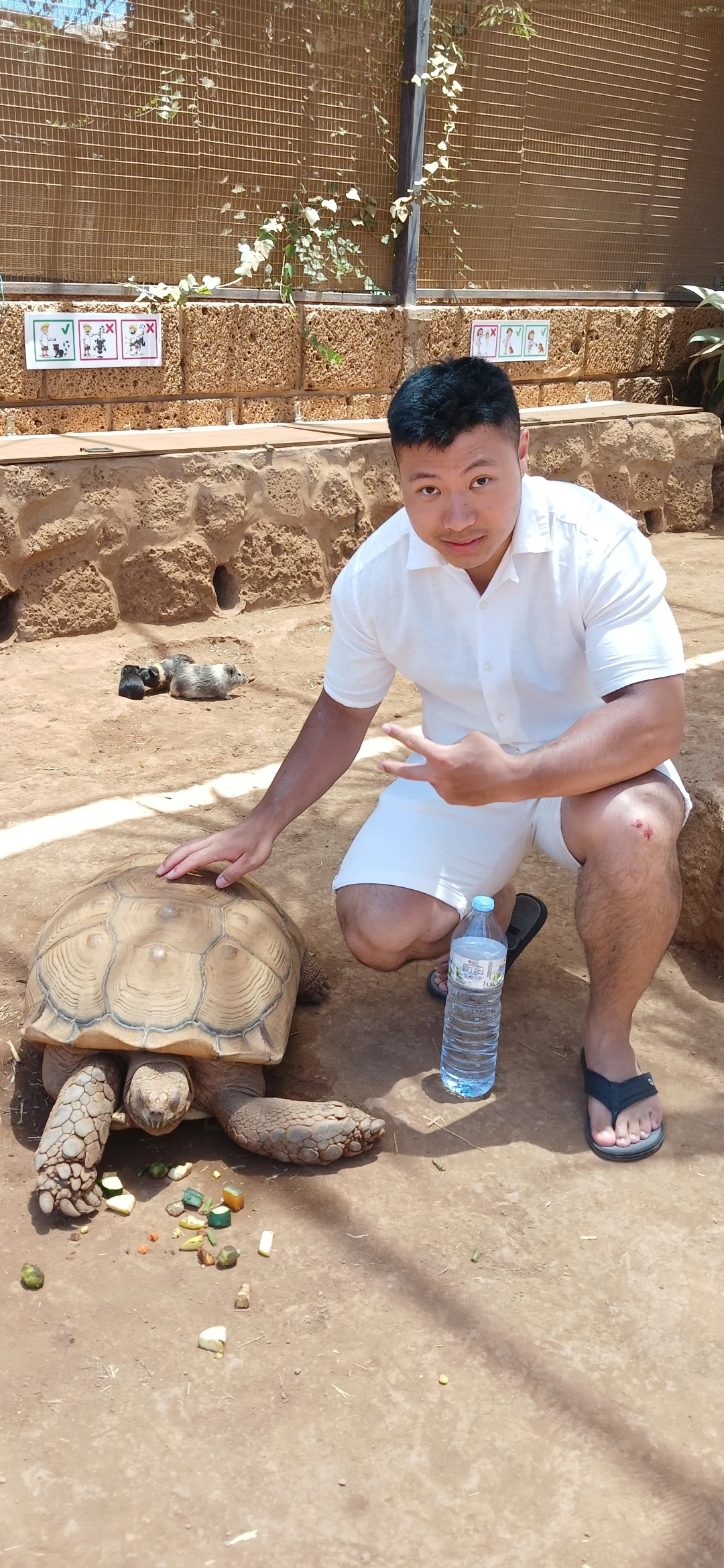 Yulong Li | International Powerlifting Federation Wiki | Fandom