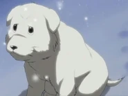 Wanpo | Wiki Ippo | Fandom