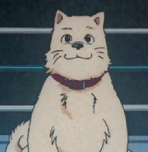 Hachi | Wiki Ippo | Fandom