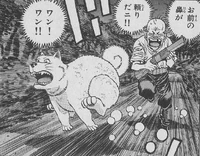 Ginpachi Nekota/Gallery | Wiki Ippo | Fandom