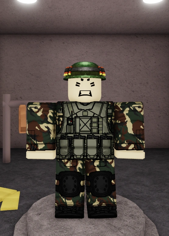 Private Brian | In Plain Sight 2 Wiki | Fandom