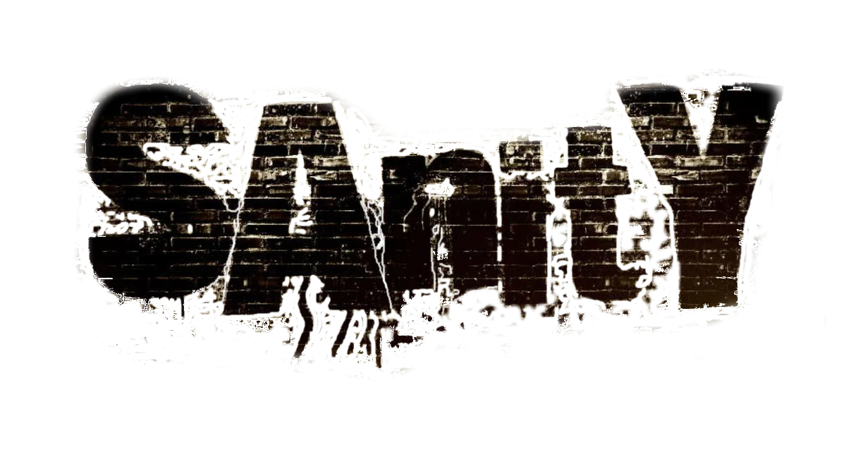 Sanity | WWE 2K Wiki | Fandom