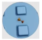 IQ Trophy 0 | IQ Obby Wiki | Fandom