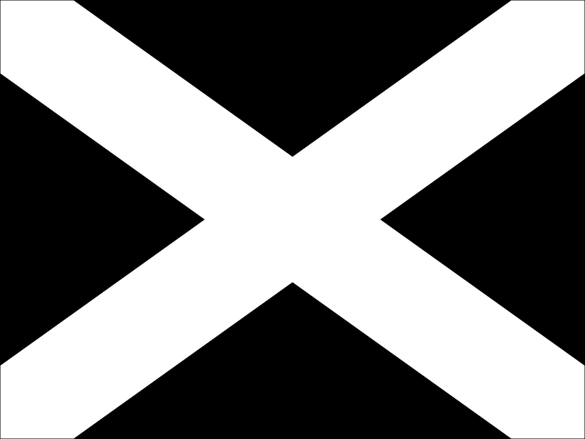 Disqualification Flag | Iracing.com Wiki | Fandom