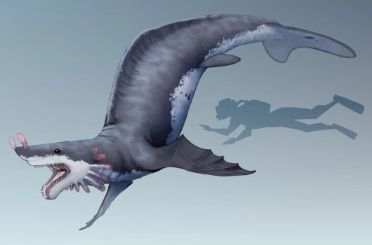 Razortooth Shark Seal | Irasana Wiki | Fandom