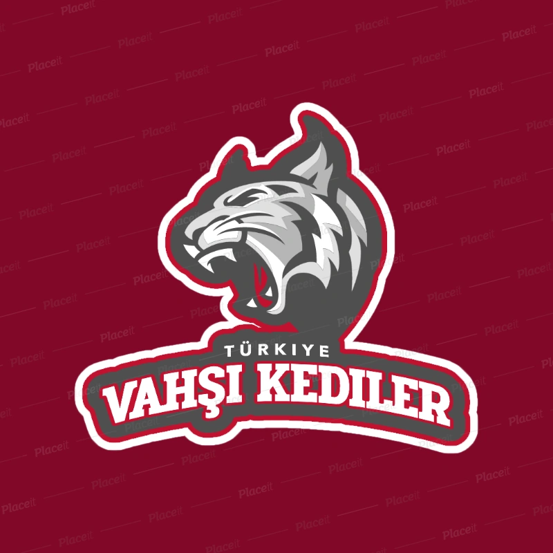 Türkiye | The Radiation Effect Wiki | Fandom