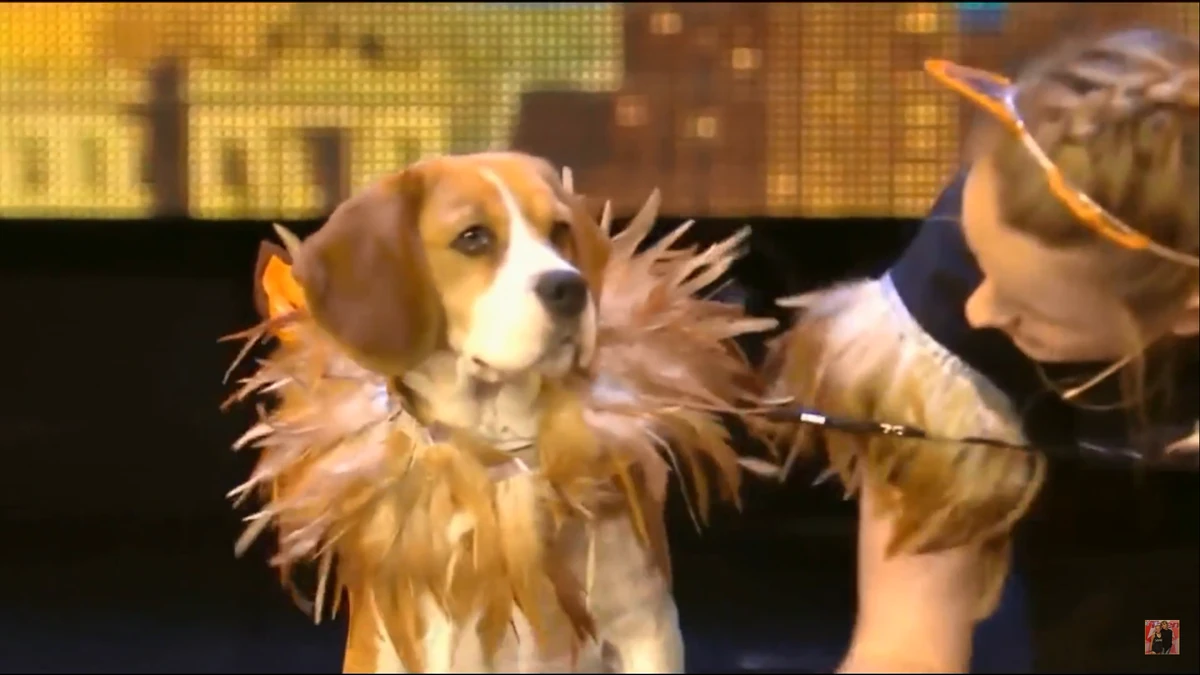 Amy & Izzy | Ireland's Got Talent Wiki | Fandom