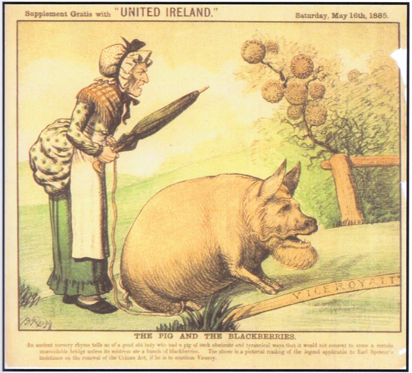 United Ireland/Cartoons 1885 | Irish Comics Wiki | Fandom