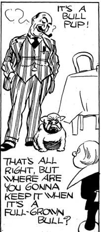 Simple Simon | Irish Comics Wiki | Fandom