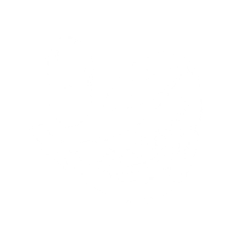 Entities | IR:L SECTION-REMADE Wiki | Fandom