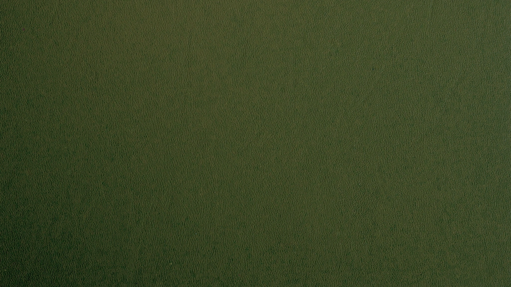 Olive Drab | Iron Hammer: Modern Warfare Wiki | Fandom