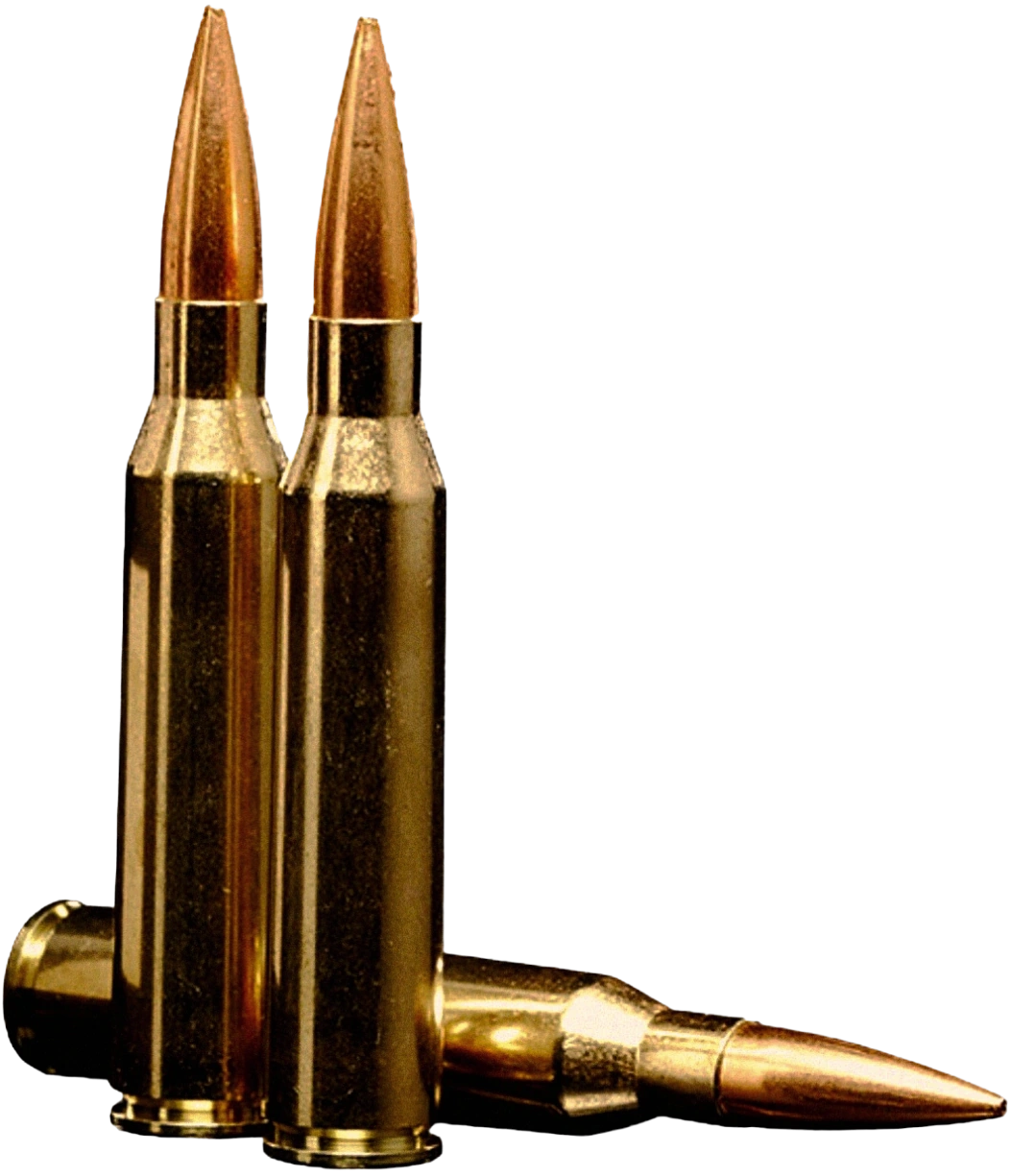 8.6x70mm Magnum | Iron Hammer: Modern Warfare Wiki | Fandom