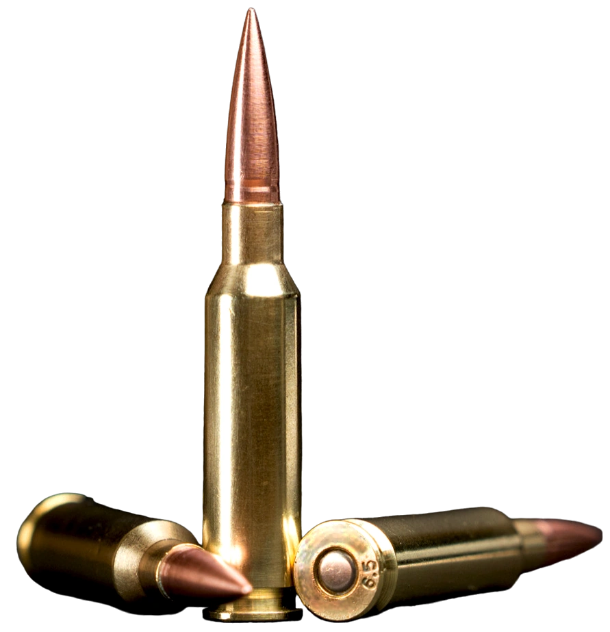 6.5x48mm Hornady | Iron Hammer: Modern Warfare Wiki | Fandom
