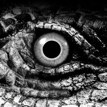 The Monster | Iron Lung Wiki | Fandom