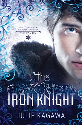 The Iron Knight | Iron Fey Wiki | Fandom