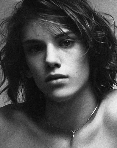 Reynard Brax | Ironthronerp Wikia | Fandom