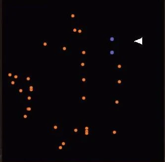 Maps | IRUNA Online Thailand Wiki | Fandom