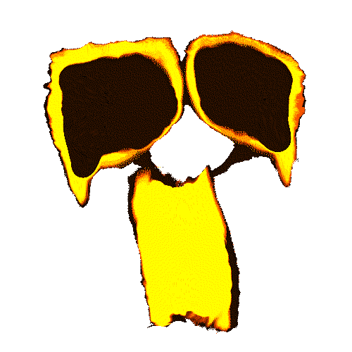 XXU-1 | I R - U Section Wiki | Fandom